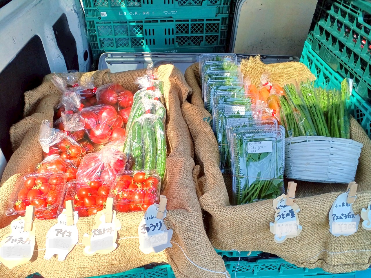 ブログ – 株式会社照和